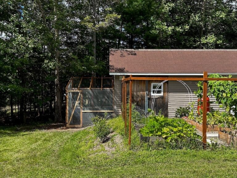 How To Build A Chicken Run – Homestead Fox
